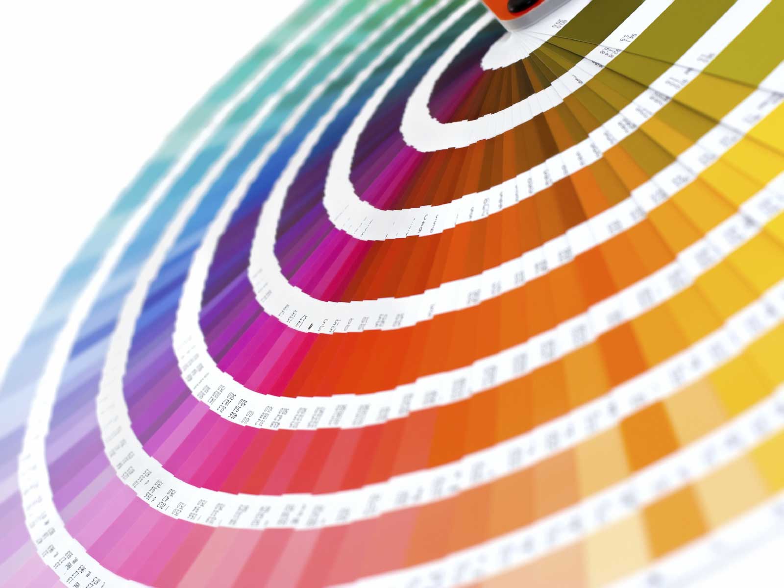 Um mundo de cor: Existe o amarelo pantone, o verde pantone, pantone ...