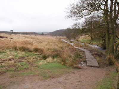 Karen Slatcher: Padley Gorge