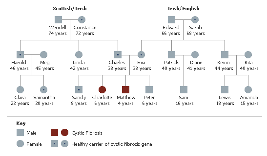 Genetics: Family Pedigree