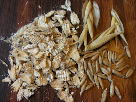 Grow the Change: Hulless oats