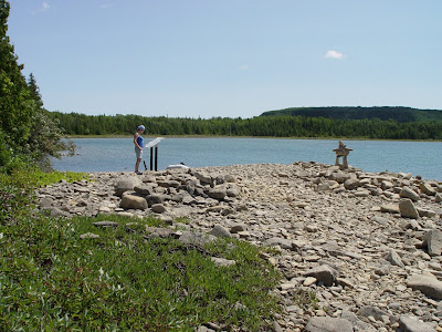 Ordovician-Silurian: wingfield basin + cabot head