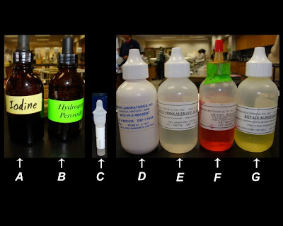 Microbiology: Reagents