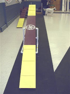 DogGoneFun Agility Equipment: Agility rocks with the right equipment