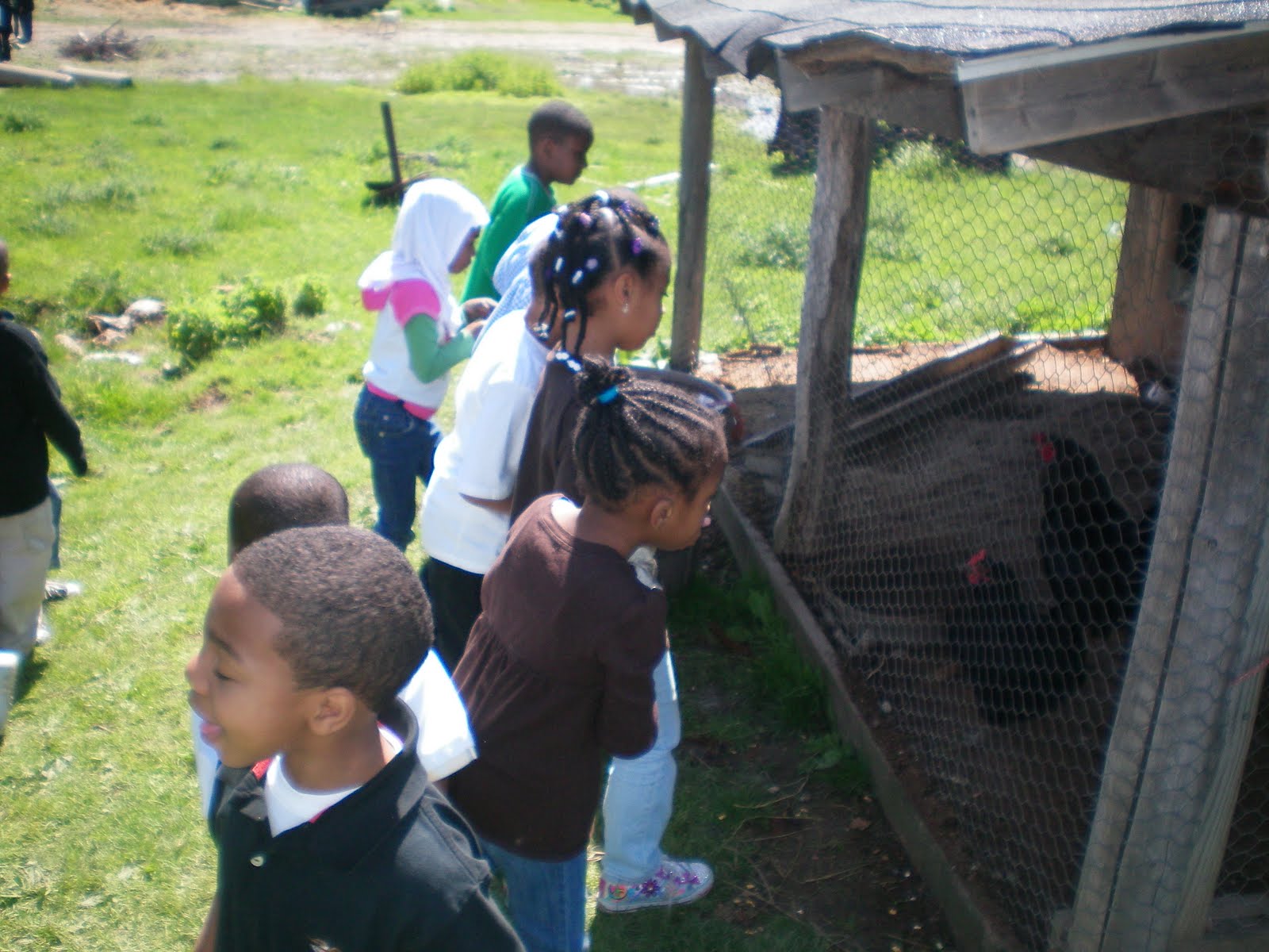 Mrs. Woolsey's 1st Grade: Farm Trip Pictures