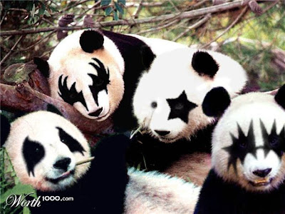 Subir//Quadrado [ ]: Tudo o que você não sabe sobre... o Panda.