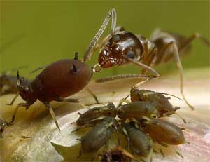 Subir//Quadrado [ ]: outubro 2010