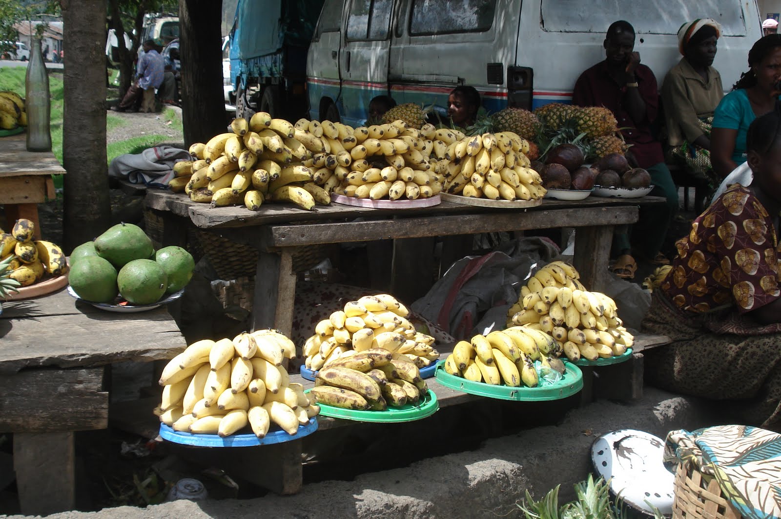 Mwambegele: NDIZI MBIVU