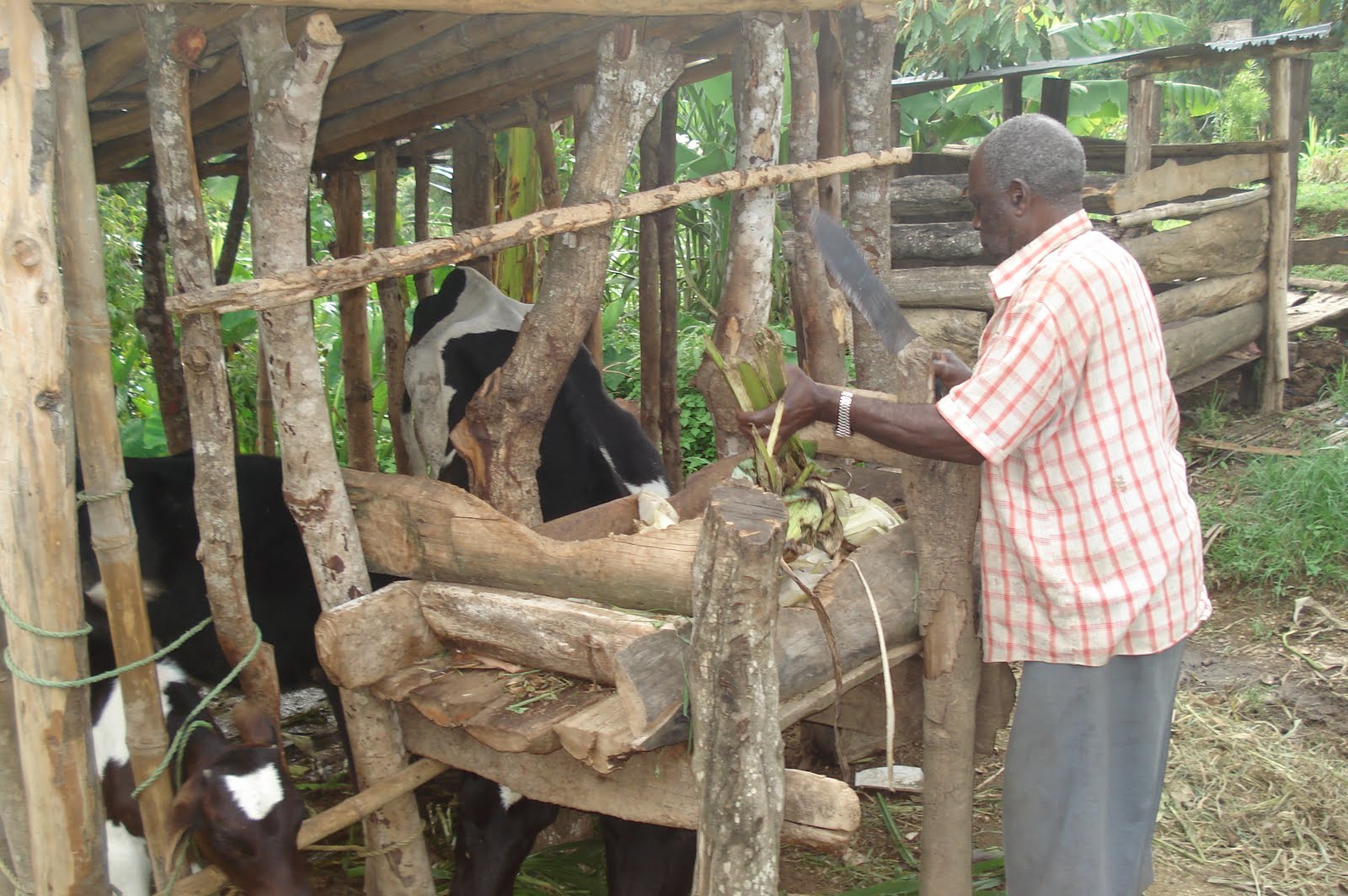 Mwambegele: UFUGAJI TUKUYU