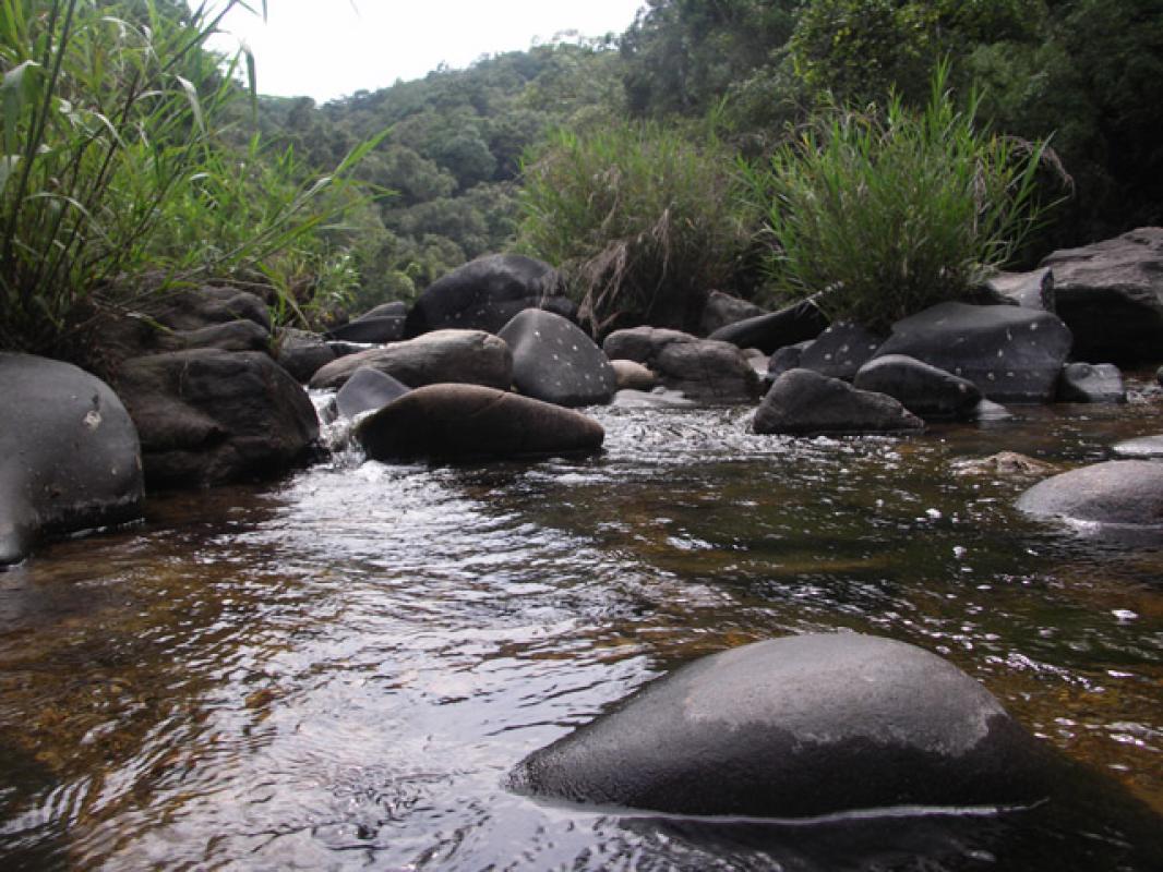 Attappadi ( Attappady ) photo gallary - photos,images,landscape ...