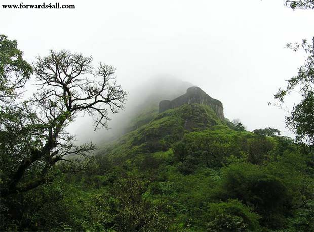 Attappadi ( Attappady ) photo gallary - photos,images,landscape ...