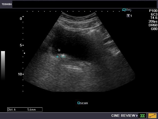 cochinblogs: April 2010