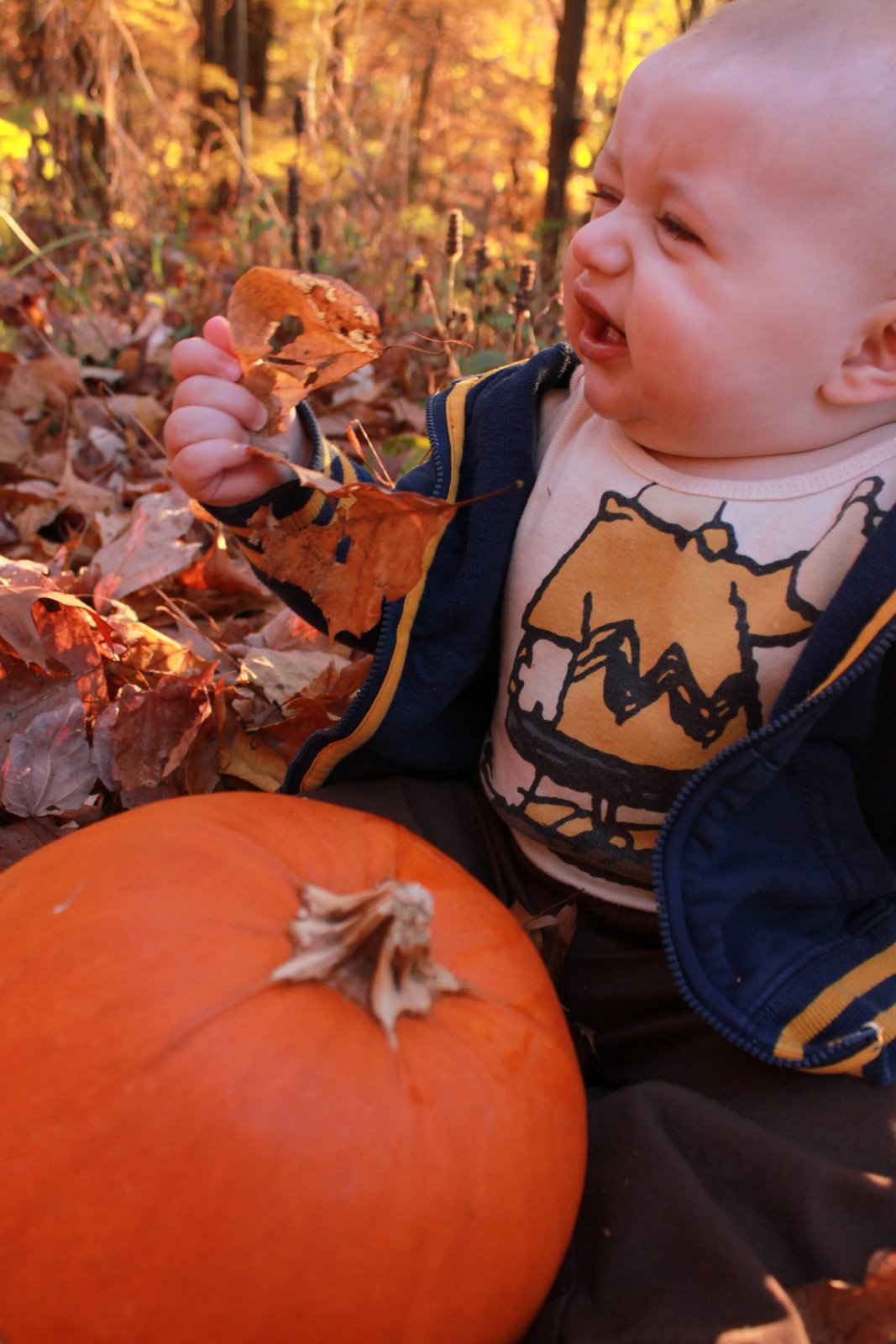 Ye Olde Sandwich Shoppe: A Charlie Brown Thanksgiving