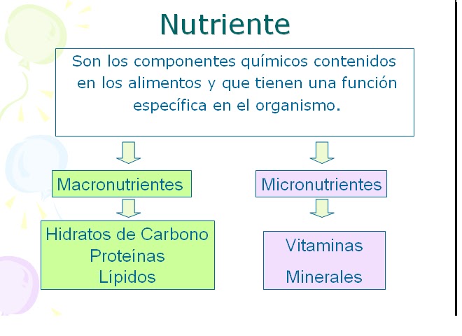 NUTRIBLOG: Nutrientes
