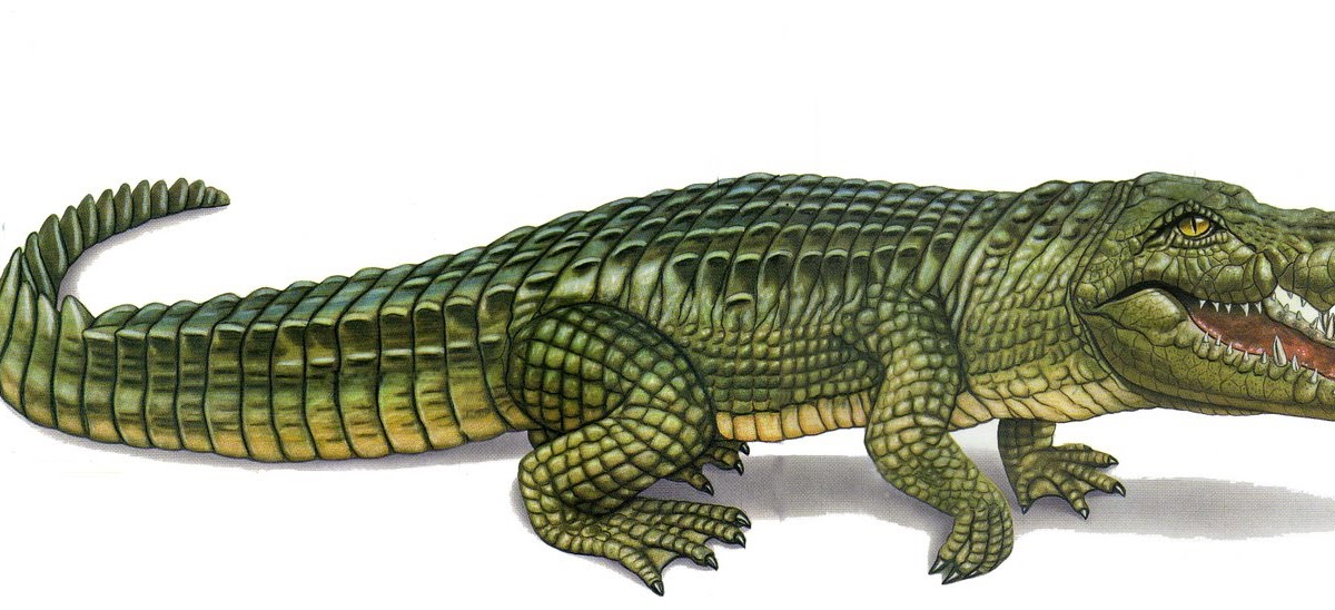 Deinosuchus | Ikessauro