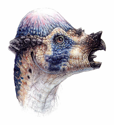 Pachycephalosaurus | Ikessauro