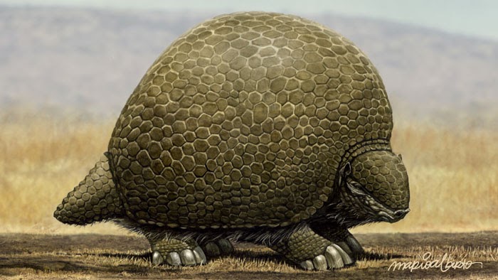 Encontrado Gliptodonte na Bolívia | Ikessauro