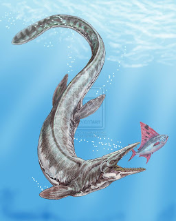 Tylosaurus | Ikessauro