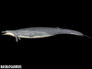 Basilossauro | Ikessauro