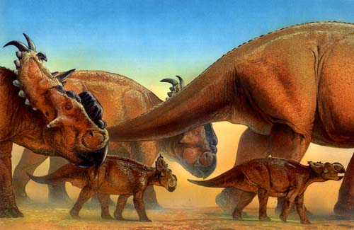 Paquirrinossauro | Ikessauro