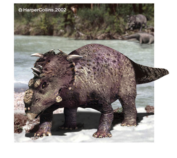 Paquirrinossauro | Ikessauro