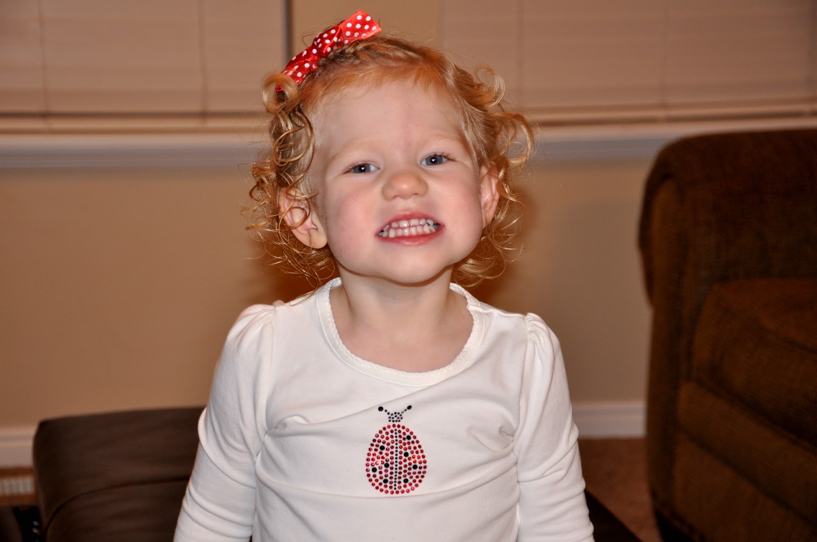 The Pages: Sydney's Ladybug Party