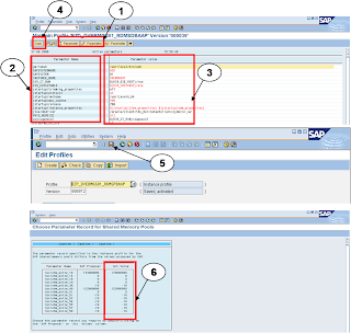 SAP : Knowledge Sharing Site: Profile Parameter