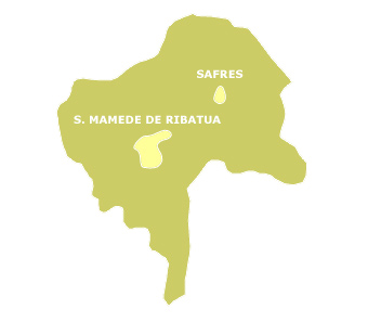 S. MAMEDE DE RIBATUA: junho 2010