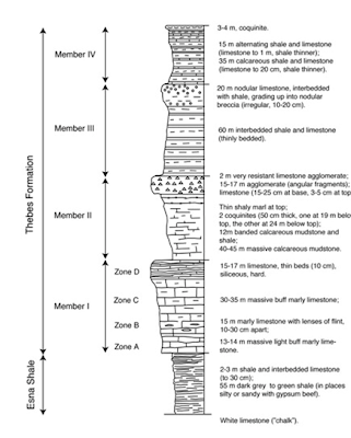Kelompok 1 Stratigrafi: SERBA-SERBI STRATIGRAFI