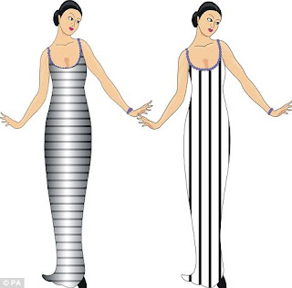 Trick To Look Slimmer ~ Designer Clothes