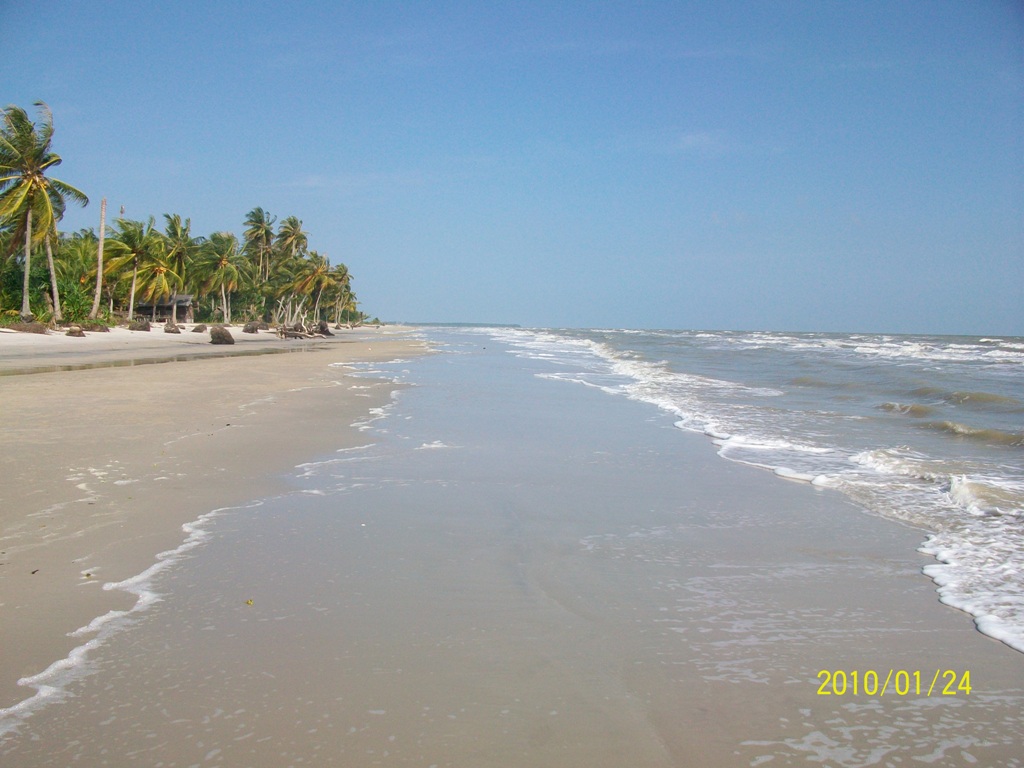 Rupat - JungleKey.in Image