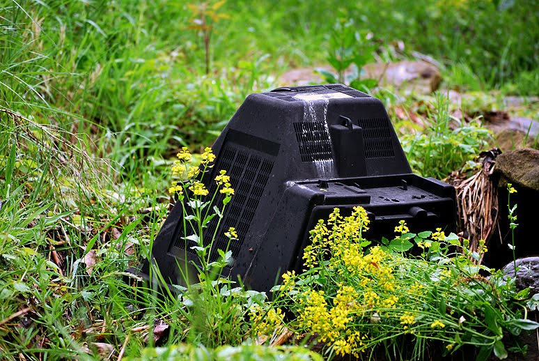 Epiphany: Static In Nature