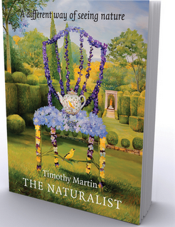 Art-Monie: Timothy Martin