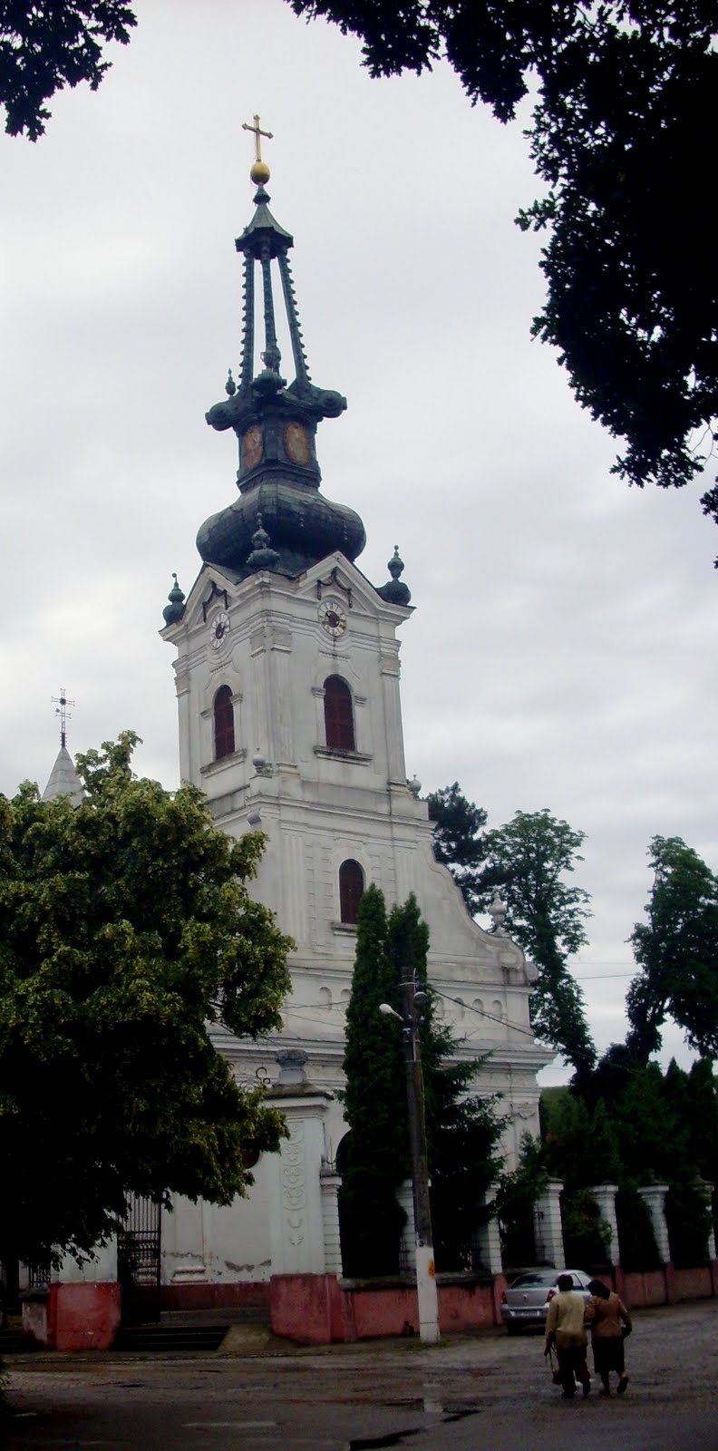 ARIPI de FLUTURE: orasul lipova