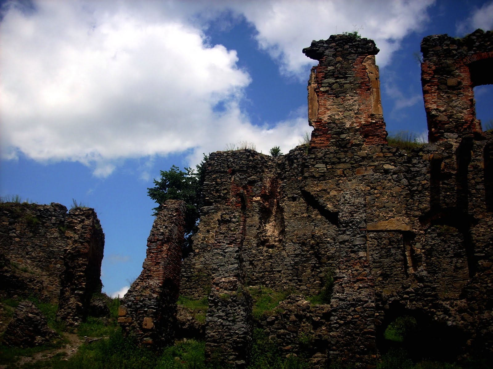 ARIPI de FLUTURE: cetatea soimos/ soimos fortess