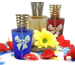 Making Our Dreams A Reality: Weight Management Alternatives