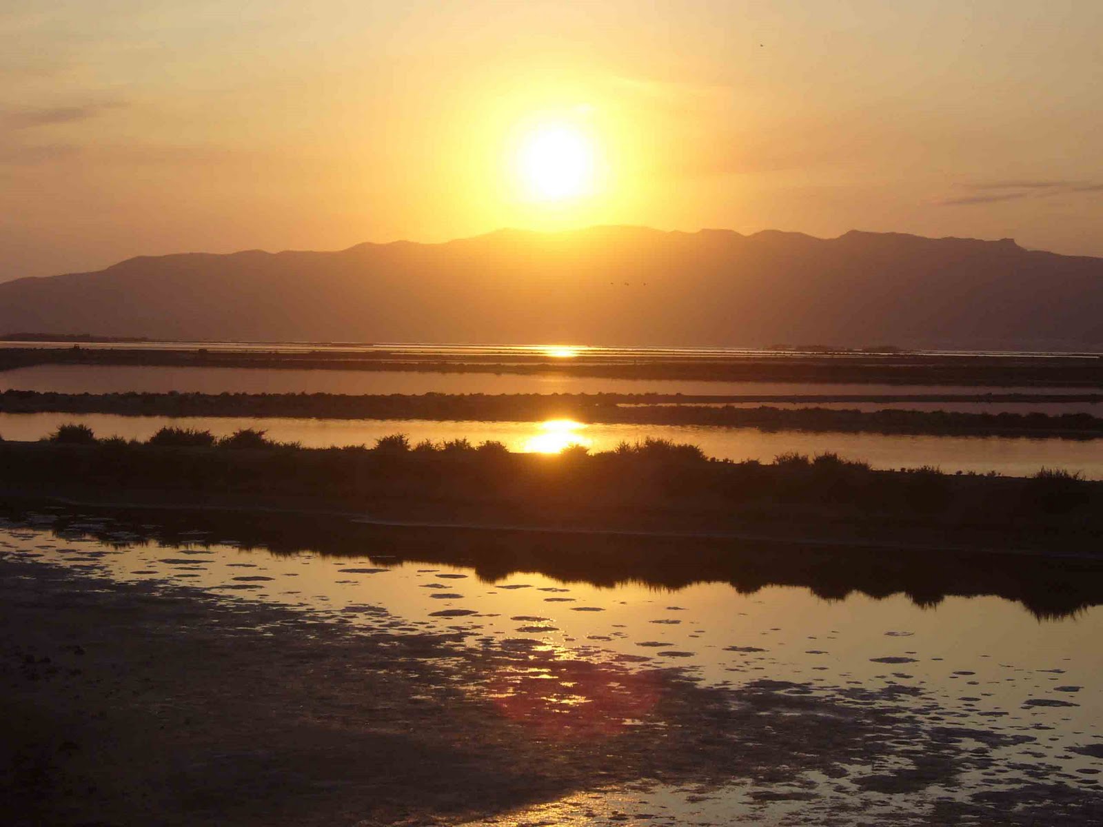 LA CABRA DE MONTE: PARQUE NATURAL DEL DELTA DEL EBRO