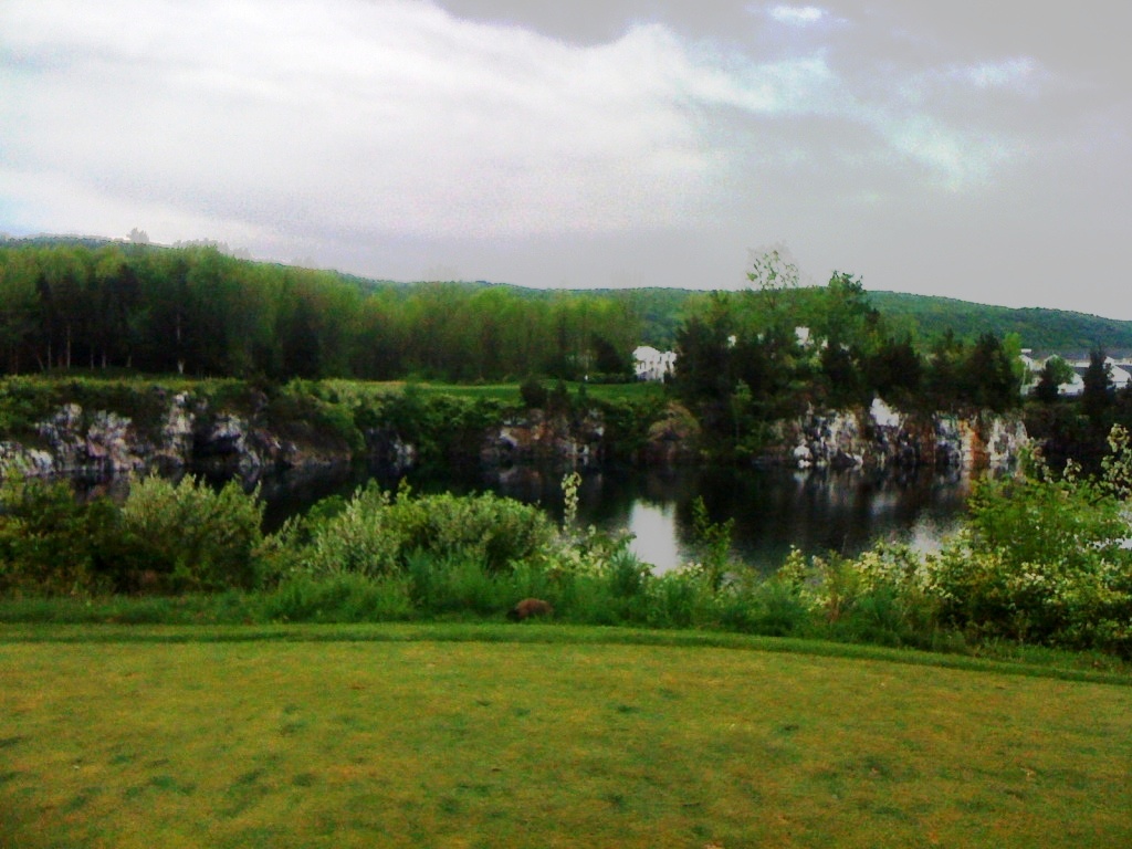 golf golf golf golf: Wild Turkey Golf Course