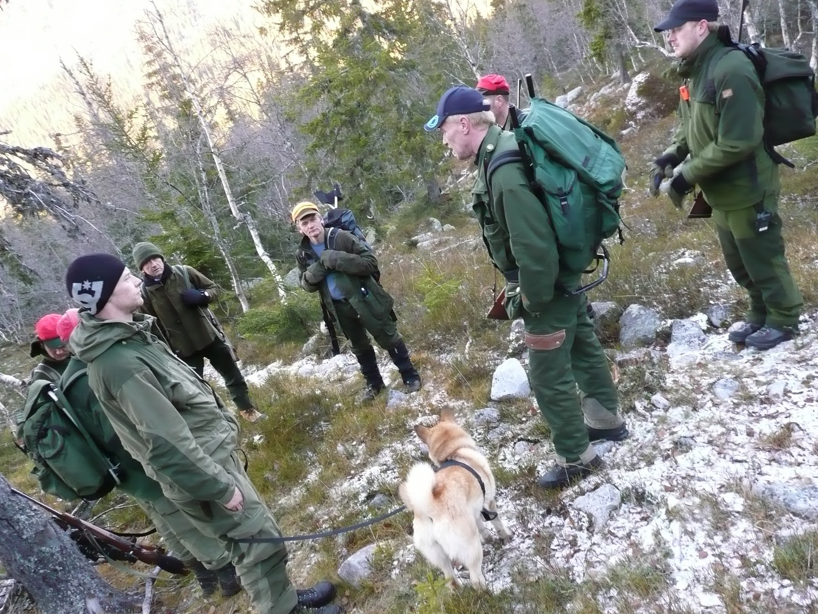 Reviews, experiences and good things to share: Nordigard Bjørge Gjestegard