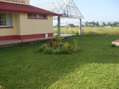 ACULA ,VERACRUZ ,MEXICO