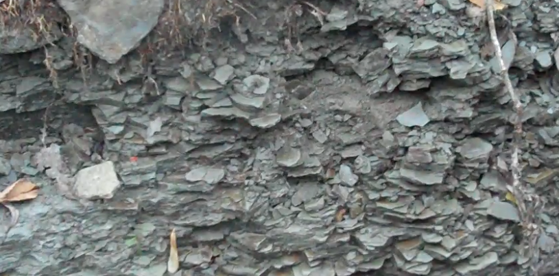 Don Valley Brick Works: Difference Between Clay and Shale