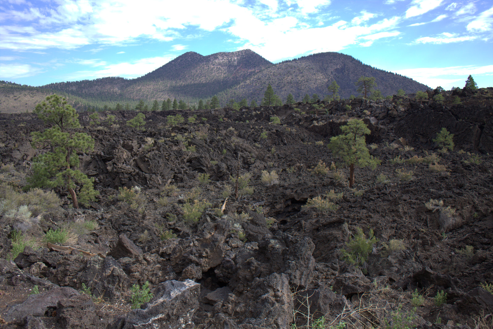 Walking Arizona: Arizona's Volcanic Fields