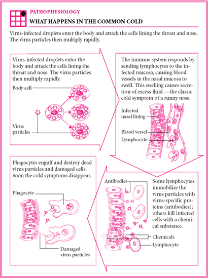 Vydya Ratnakaram (Telugu), వైద్య రత్నాకరం / Dr.Vandana Seshagirirao ...