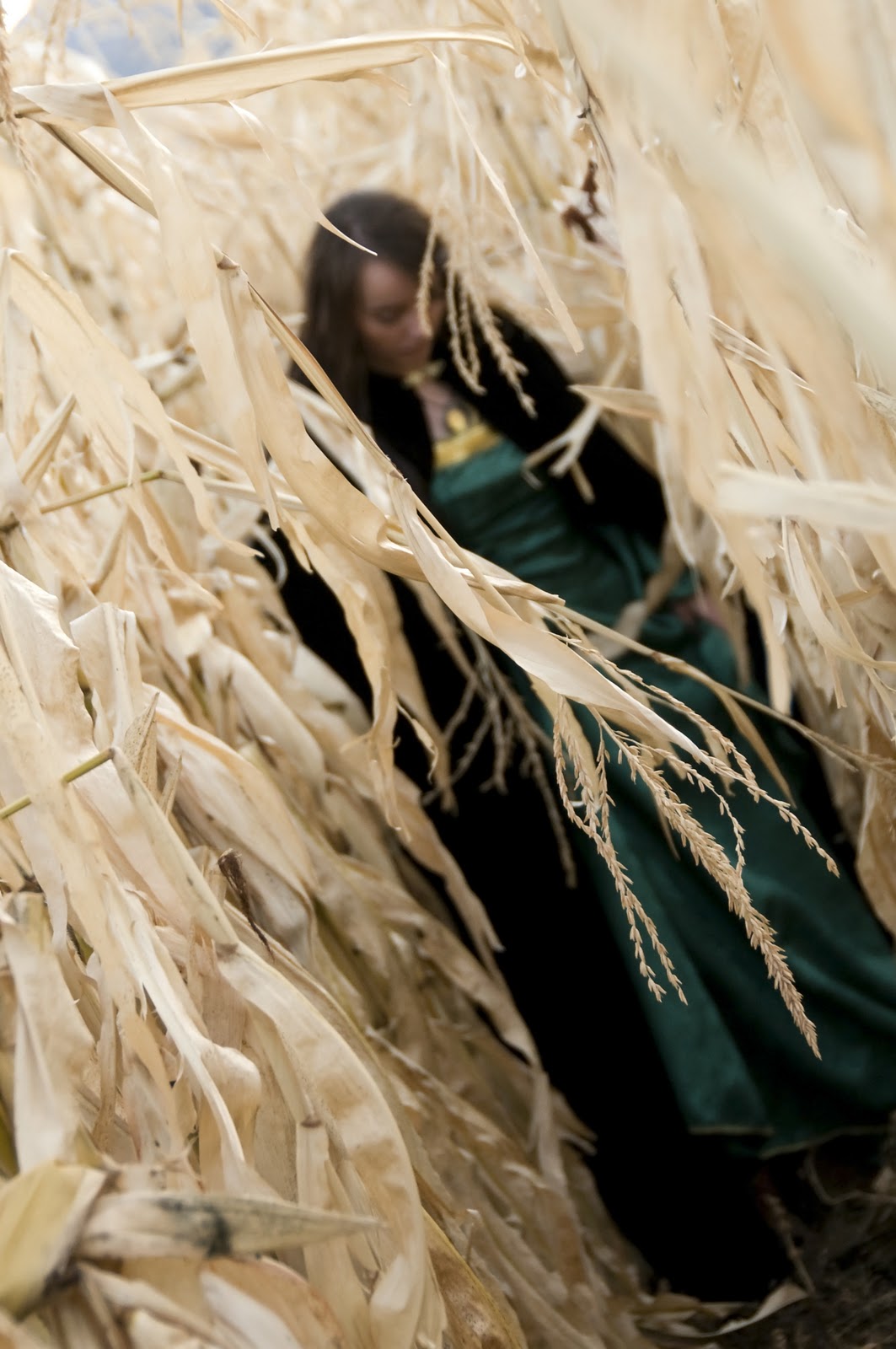 Pics for Witch Song Trailer | Amber Argyle