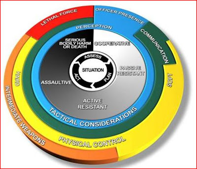 Fortis Security Technology Firearms Training: December 2009