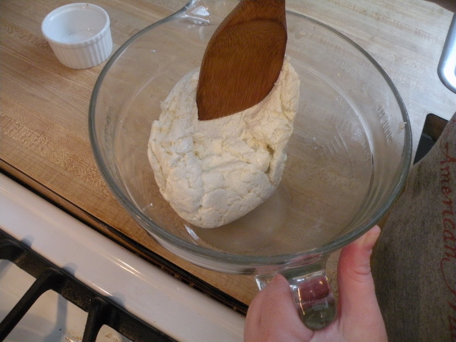 Home Made Is Easy: CHEESE MAKING