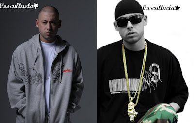 cнιcнo82erre™: Cosculluela Biografía
