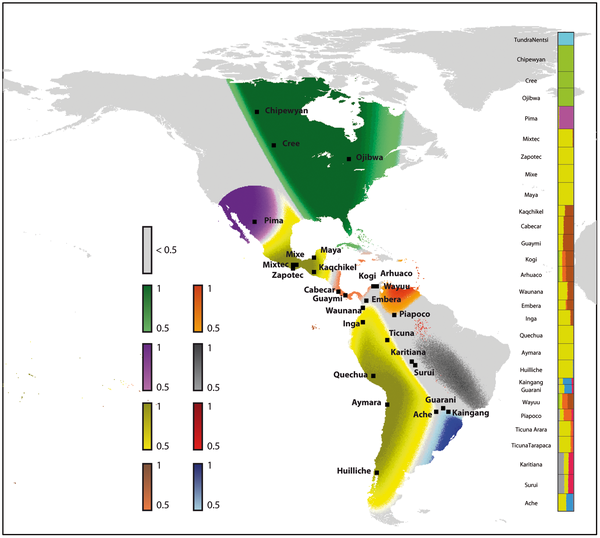 Wash Park Prophet: Native American Genetic Clusters