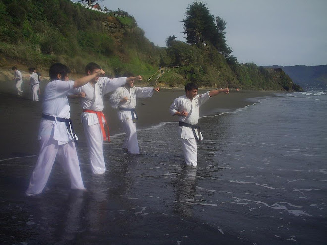 KYOKUSHINKAIKAN TEZUKA GROUP: KIHON GEIKO Karate de Contacto real
