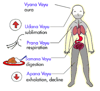 Prana Mama: The 5 Vayus