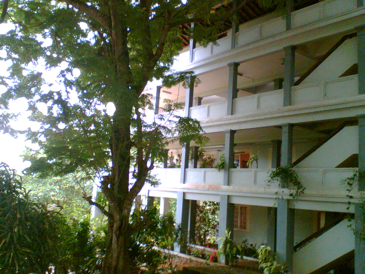 SriLankan Beautiful Nature: University of Ruhuna